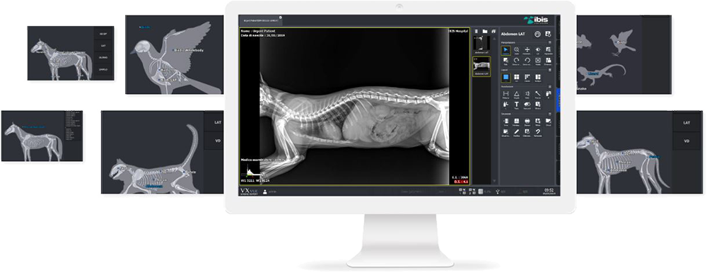 Vet Software - Ibis Ray